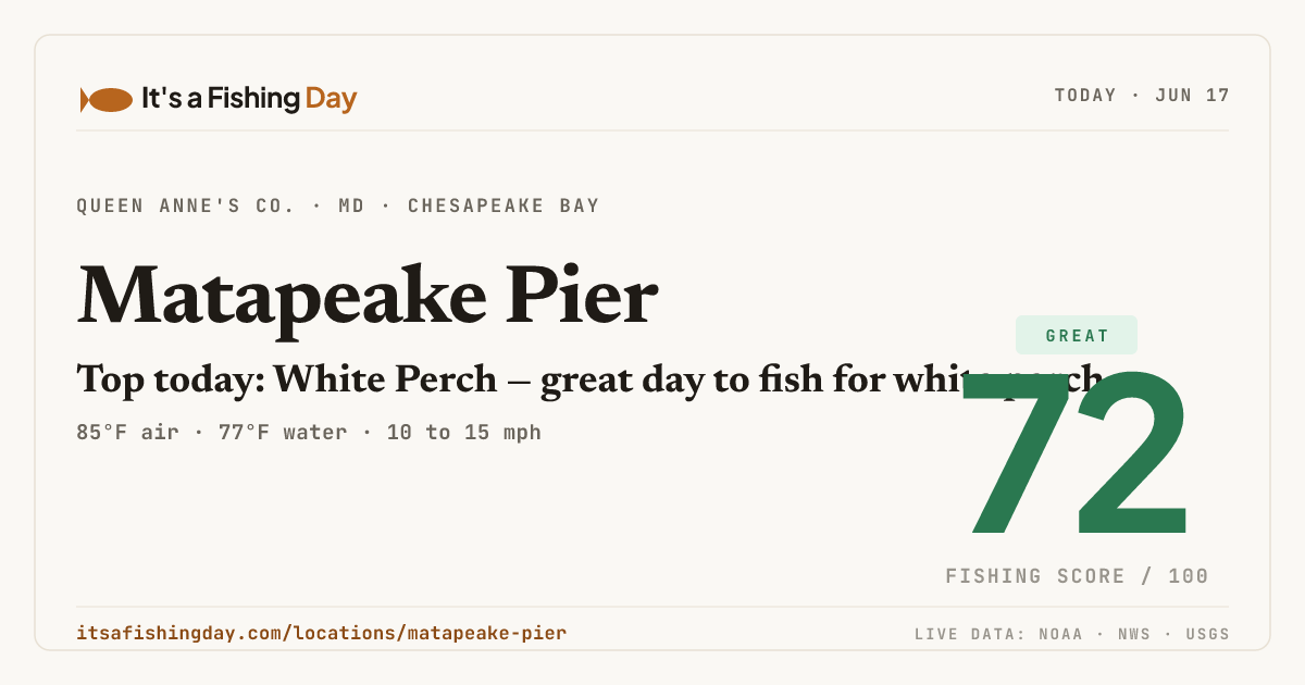 Matapeake Pier: Live Fishing Conditions Today
